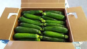 zucchini per pound